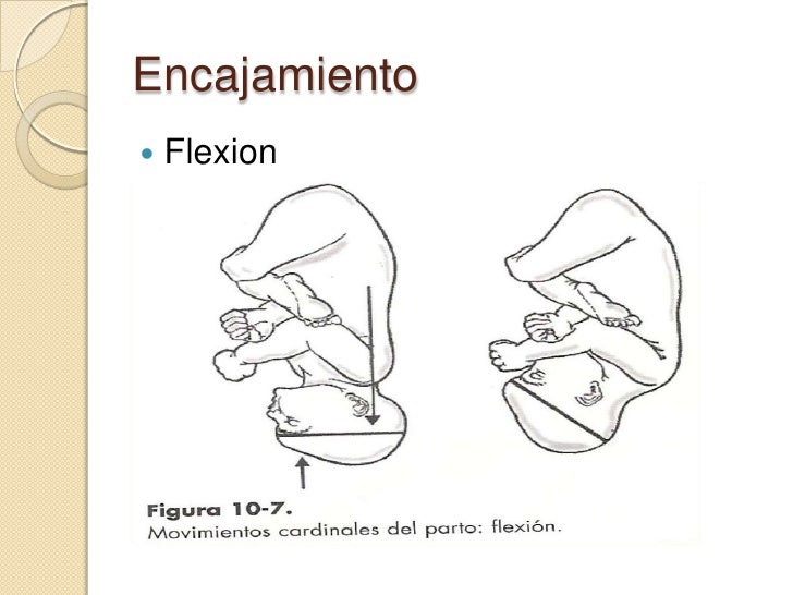 Mecanismo de trabajo de parto