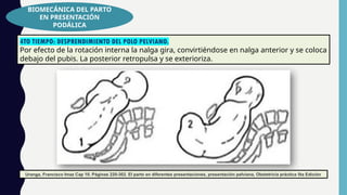 MECANISMO DE TRABAJO DE PARTO EN PRESENTACIÓN PODÁLICA.pptx