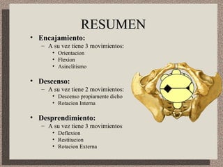 MECANISMO DE TRABAJO DE PARTO sumedico.ppt