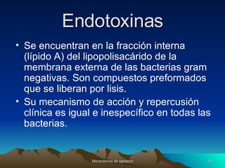 Mecanismos De AgresióN De Las Bacterias Clase | PPT