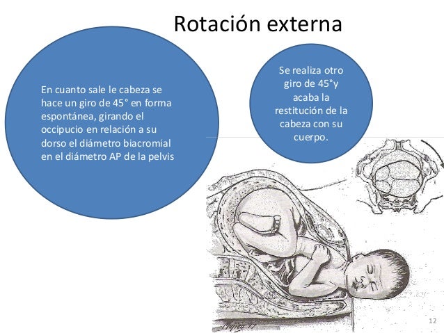 Mecanismo de Trabajo de Parto