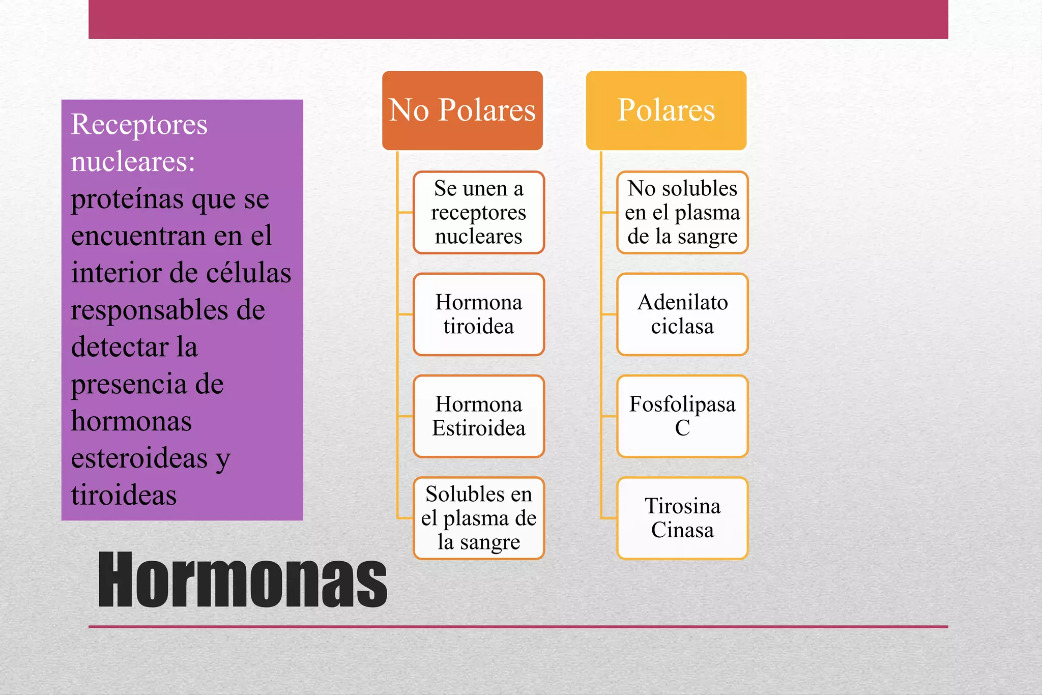 Mecanismos de acción de las hormonas. | PPTX | Hormonal Disorders ...