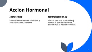 Mecanismos de control endocrino medicina.pptx