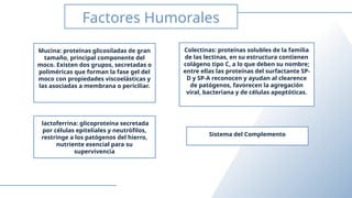 Mecanismos de defensa de sistema respiratorio | PPTX