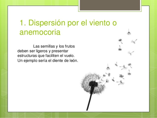 Mecanismos de dispersión de la semilla