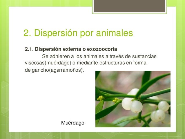 Mecanismos de dispersión de la semilla