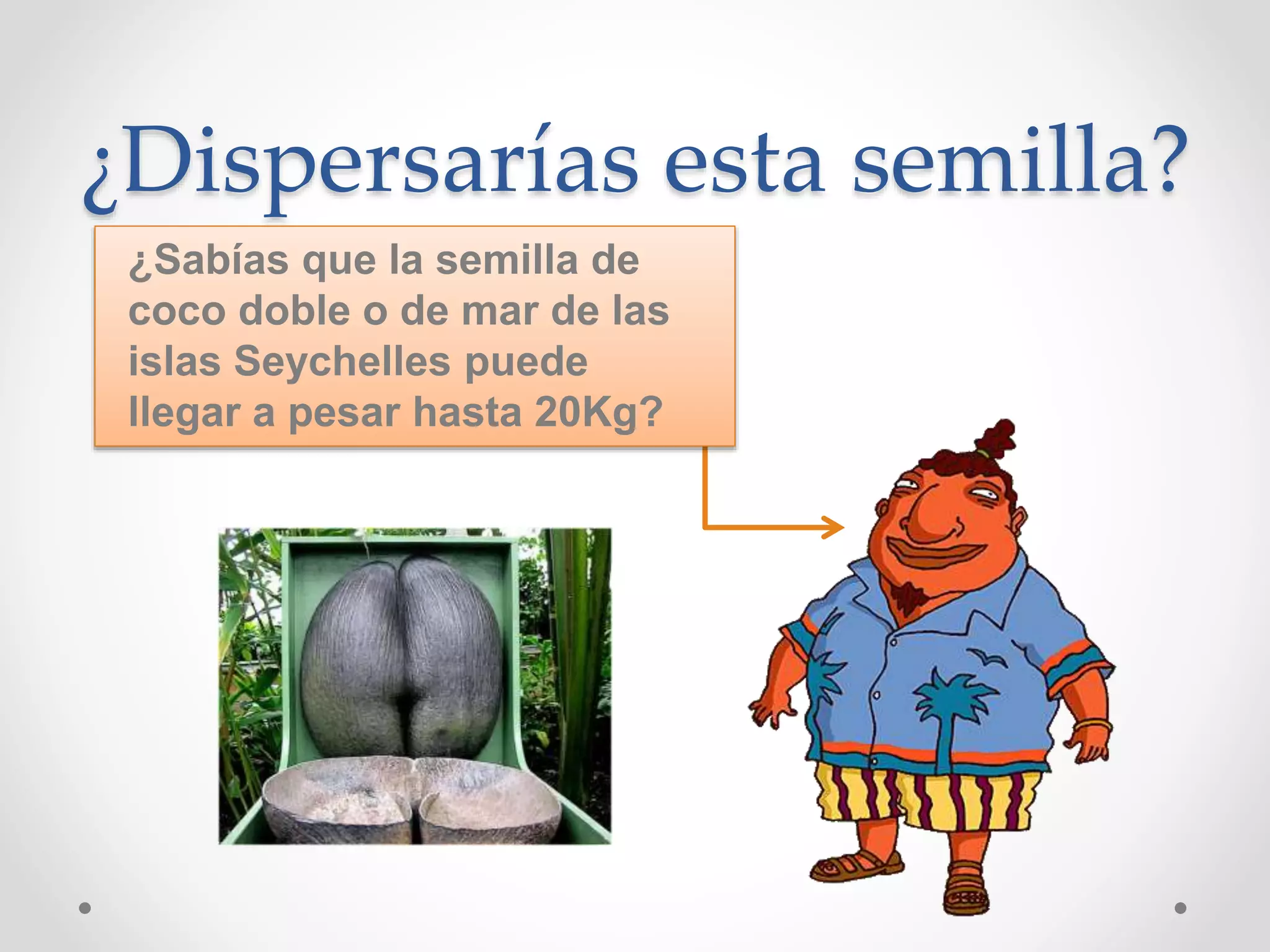 Mecanismos de dispersión de semillas | PPT