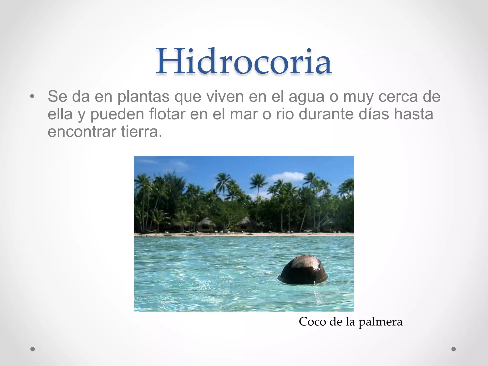 Mecanismos de dispersión de semillas | PPT