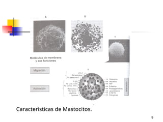 SISTEMA INMUNOLOGICO Y SU MECANISMOS DE LA INFLAMACIÓN.ppt