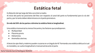 Mecanismos del parto.pptx