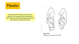 MECANISMOS DEL PARTO Y ATENCION TDP ok.pptx