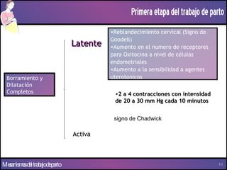Mecanismos Del Trabajo De Parto | PPT