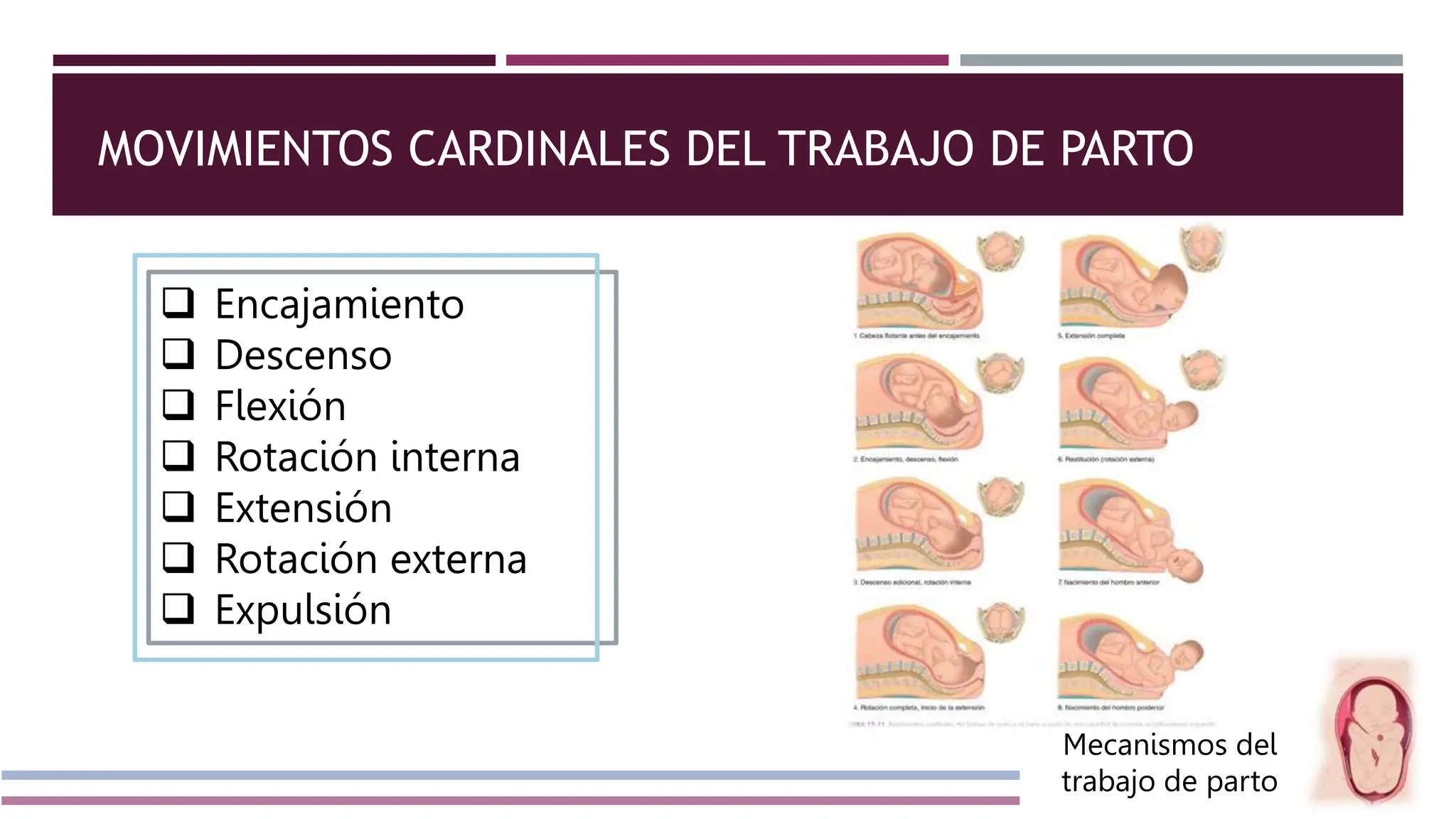 Mecanismos del trabajo de parto y atención del parto normal.pptx