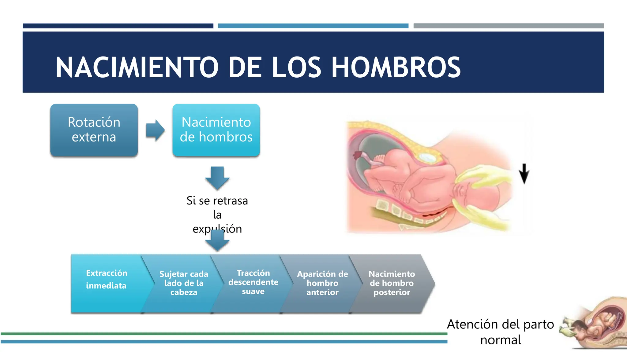 Mecanismos del trabajo de parto y atención del parto normal.pptx