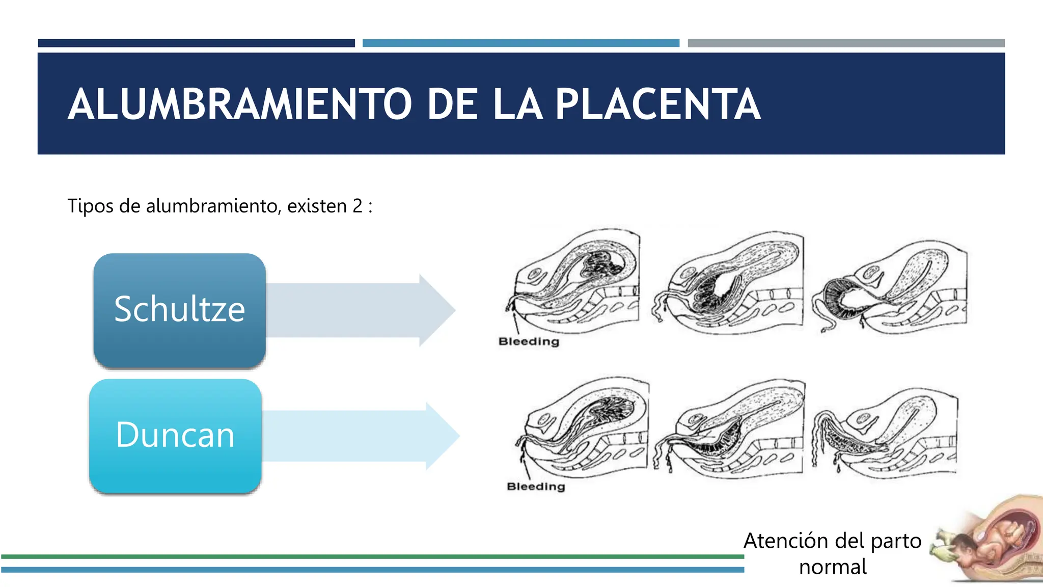 Mecanismos del trabajo de parto y atención del parto normal.pptx