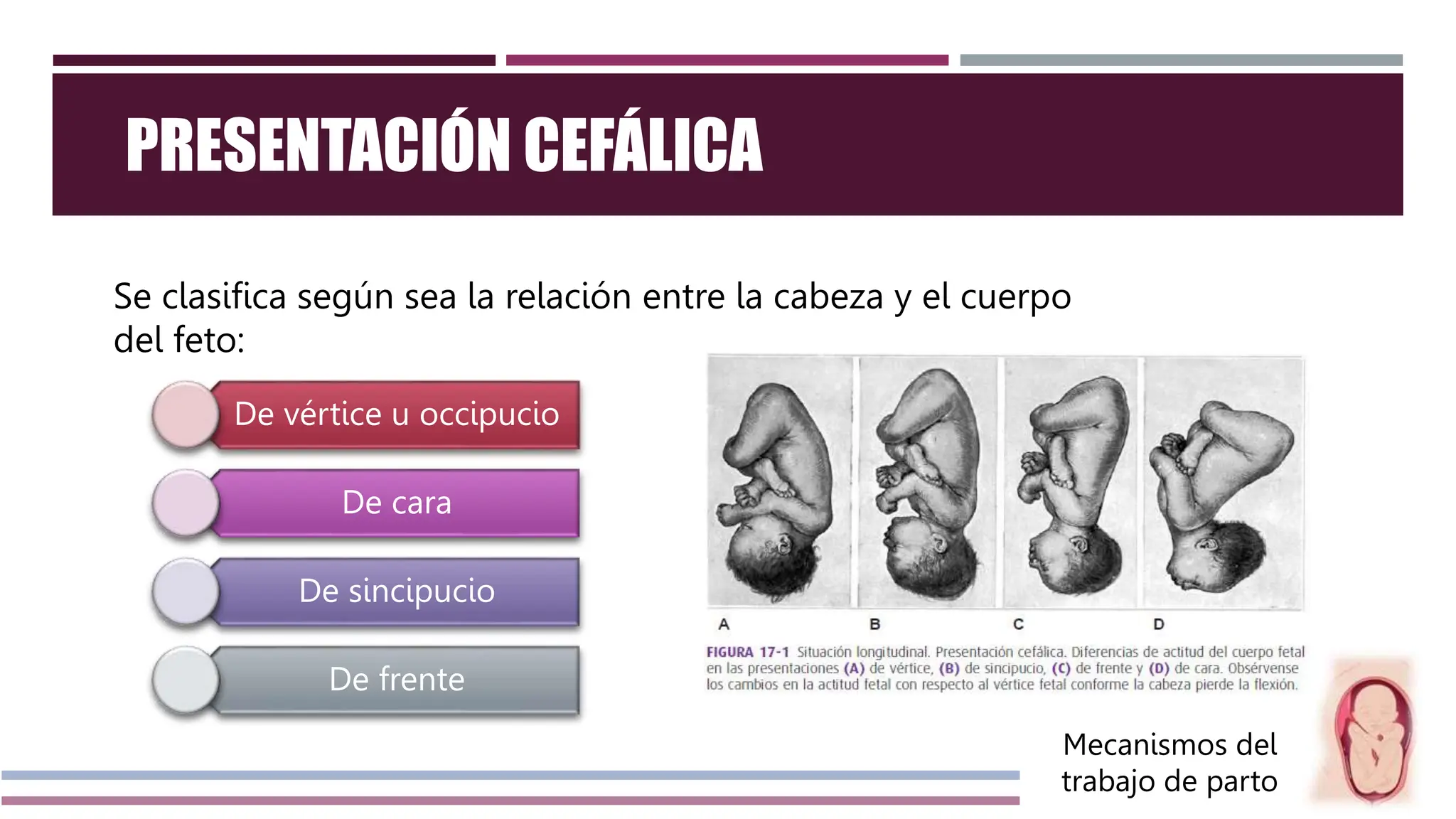 Mecanismos del trabajo de parto y atención del parto normal.pptx