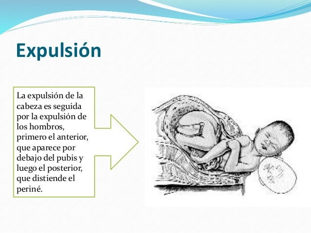 Mecanismos de parto