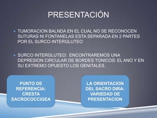 Mecanismos de parto en pelvica | PPTX