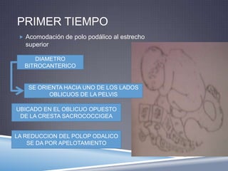 Mecanismos de parto en pelvica | PPTX