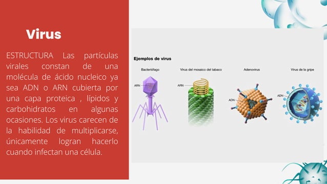 Mecanismos De Produccion Y Agentes Infecciosos Pdf Pdf