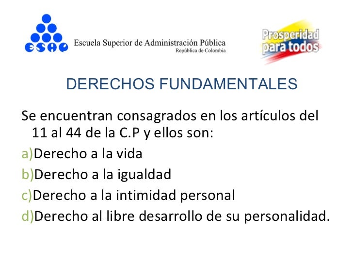 Mecanismos De Protección A Los Derechos Fundamentales