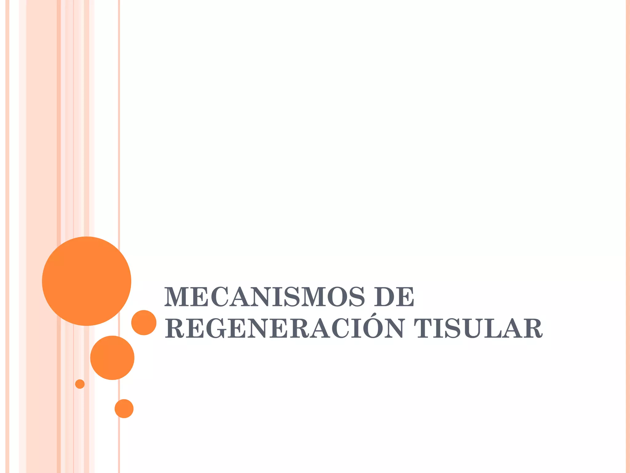 Mecanismos de regeneración tisular | PPT