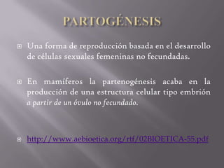 Mecanismos de reproducción asexual | PPTX