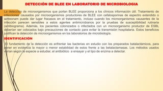 mecanismos de resistencia a los b-lactámicos .pdf