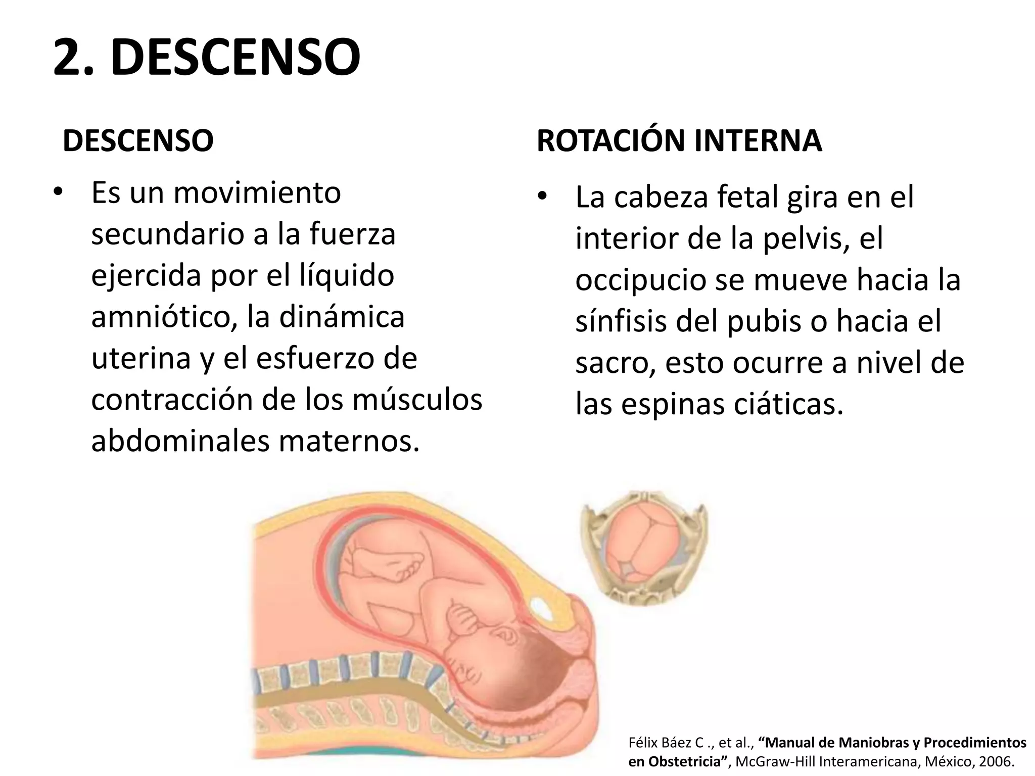 Mecanismos De Trabajo De Parto Pptx Pregnancy Reproductive Health