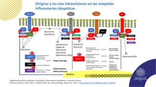 Miopatía proximal: Condiciones asociadas anexando tratamiento actual de ...