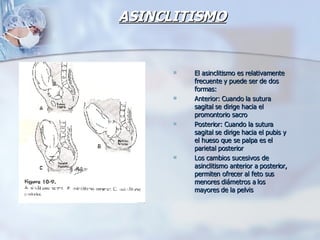 MECANISMOS,PERIODOS Y VIGILANCIA DEL TRABAJO DE PARTO | PPT