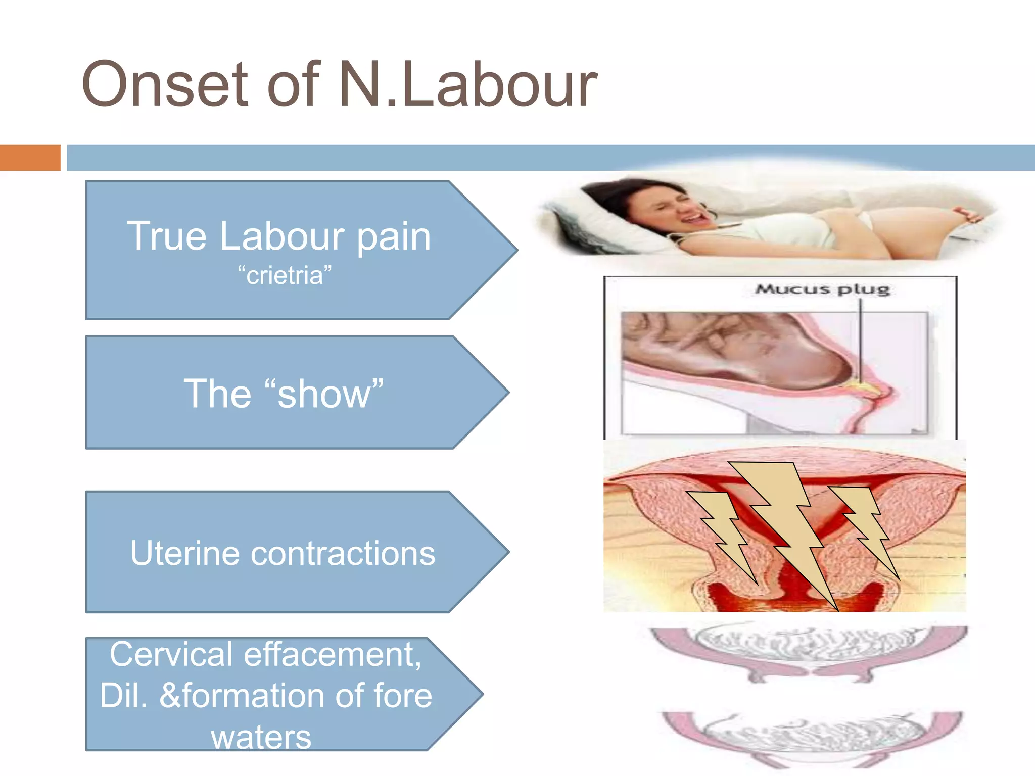 Mechanism of normal labour | PPTX