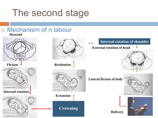 Mechanism of normal labour | PPTX