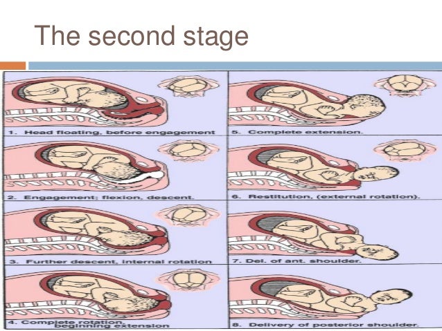 Mechanism of normal labour