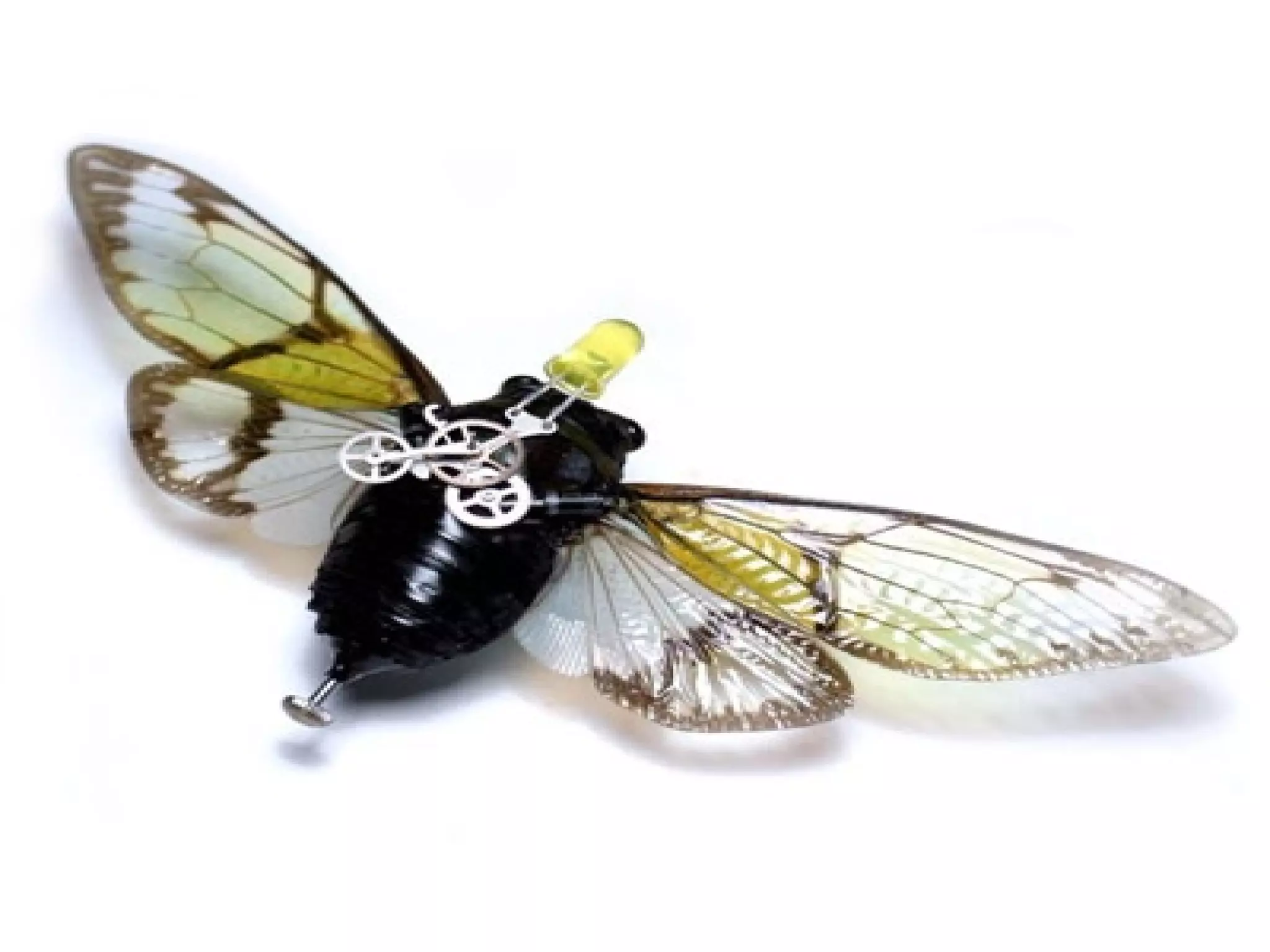 Mechanical Insects | PPS