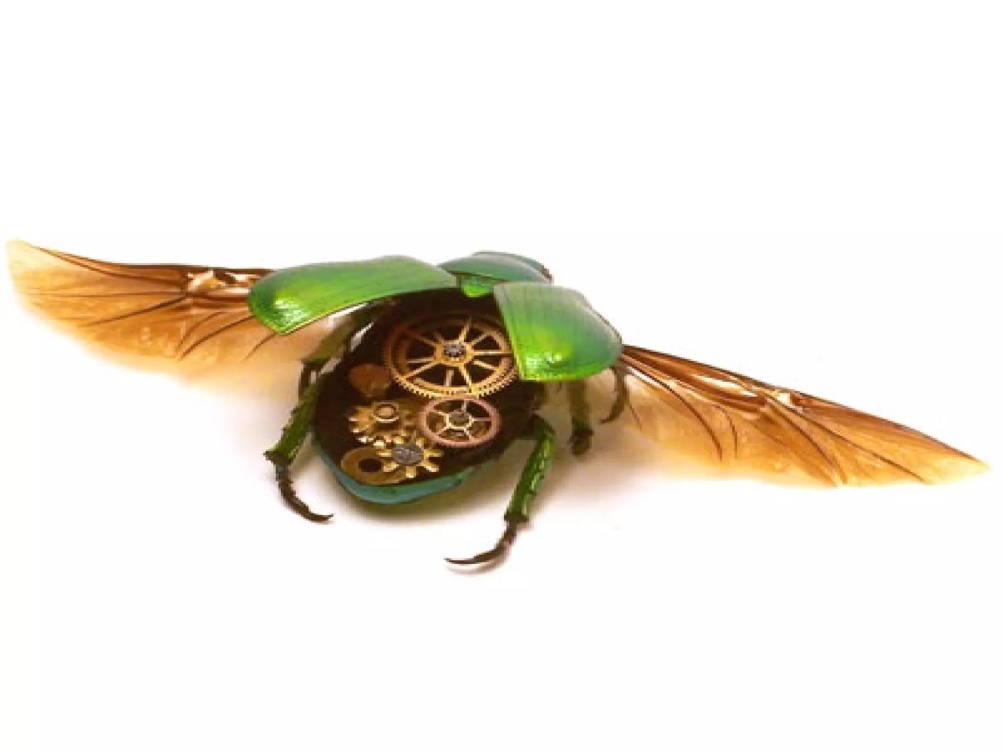 Mechanical Insects | PPS