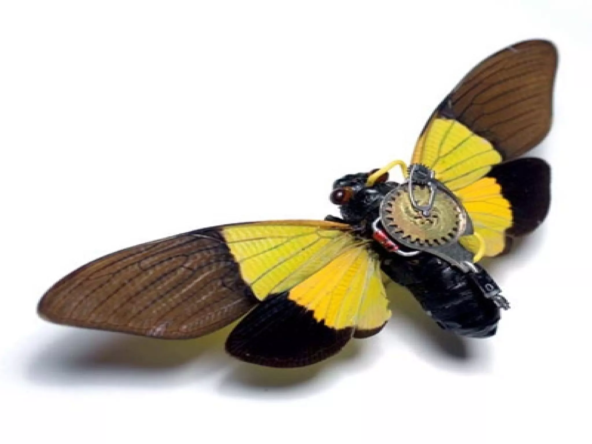 Mechanical Insects | PPS