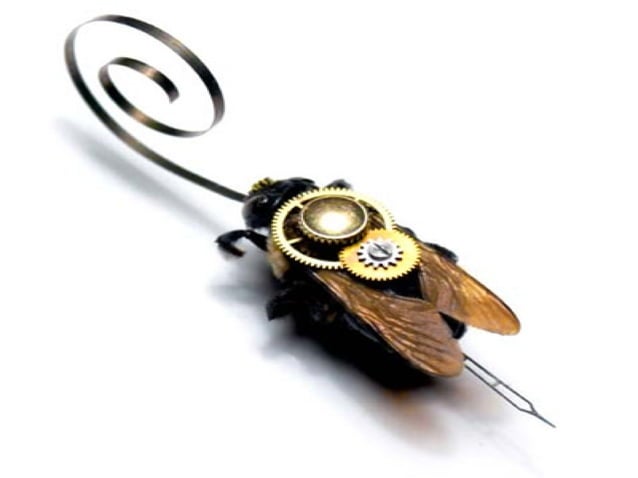 Mechanical Insects | PPT