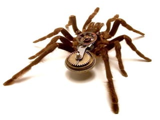 Mechanical Insects | PPT