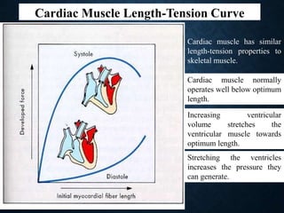 Mechanical activity of heart | PPT