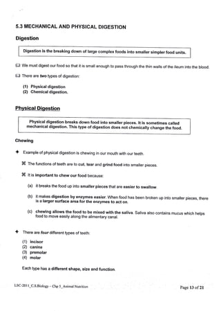 Mechanical and chemical digestion in human | PDF