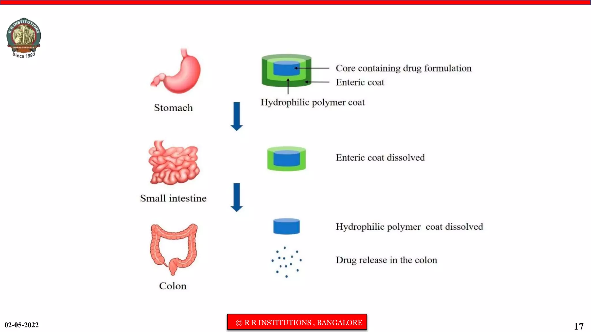 Mechanical and pH activated DDS.pptx
