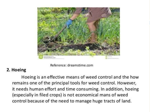 Mechanical control of weed | PPTX