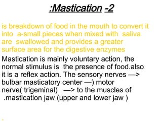Mechanical digestion.pdfx/xv.d,vdvdvdvazl' | PPT