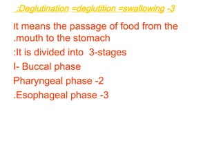 Mechanical digestion.pdfx/xv.d,vdvdvdvazl' | PPT