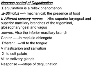 Mechanical digestion.pdfx/xv.d,vdvdvdvazl' | PDF