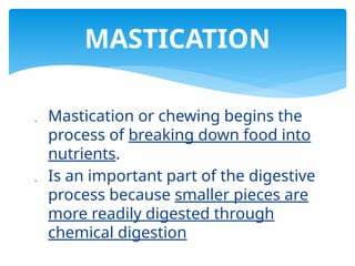 PPT ABOUT MECHANICAL DIGESTION-GROUP 11.pptx