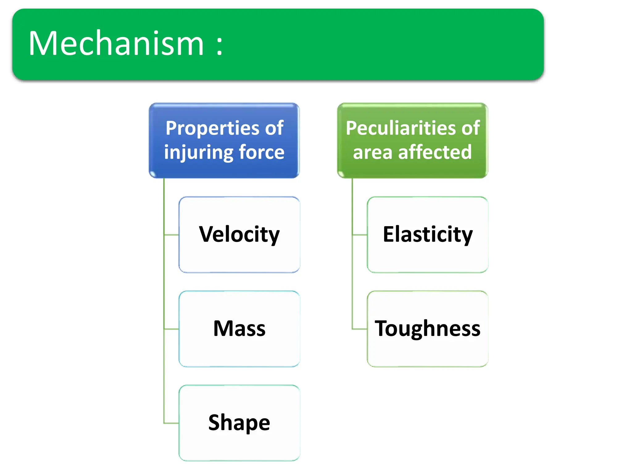 Mechanical Injuries.pptx