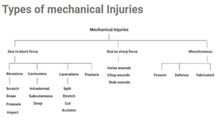 MECHANICAL INJURIES in forensic Medicine | PPT