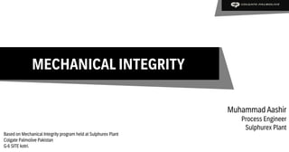 Mechanical Integrity.pdf